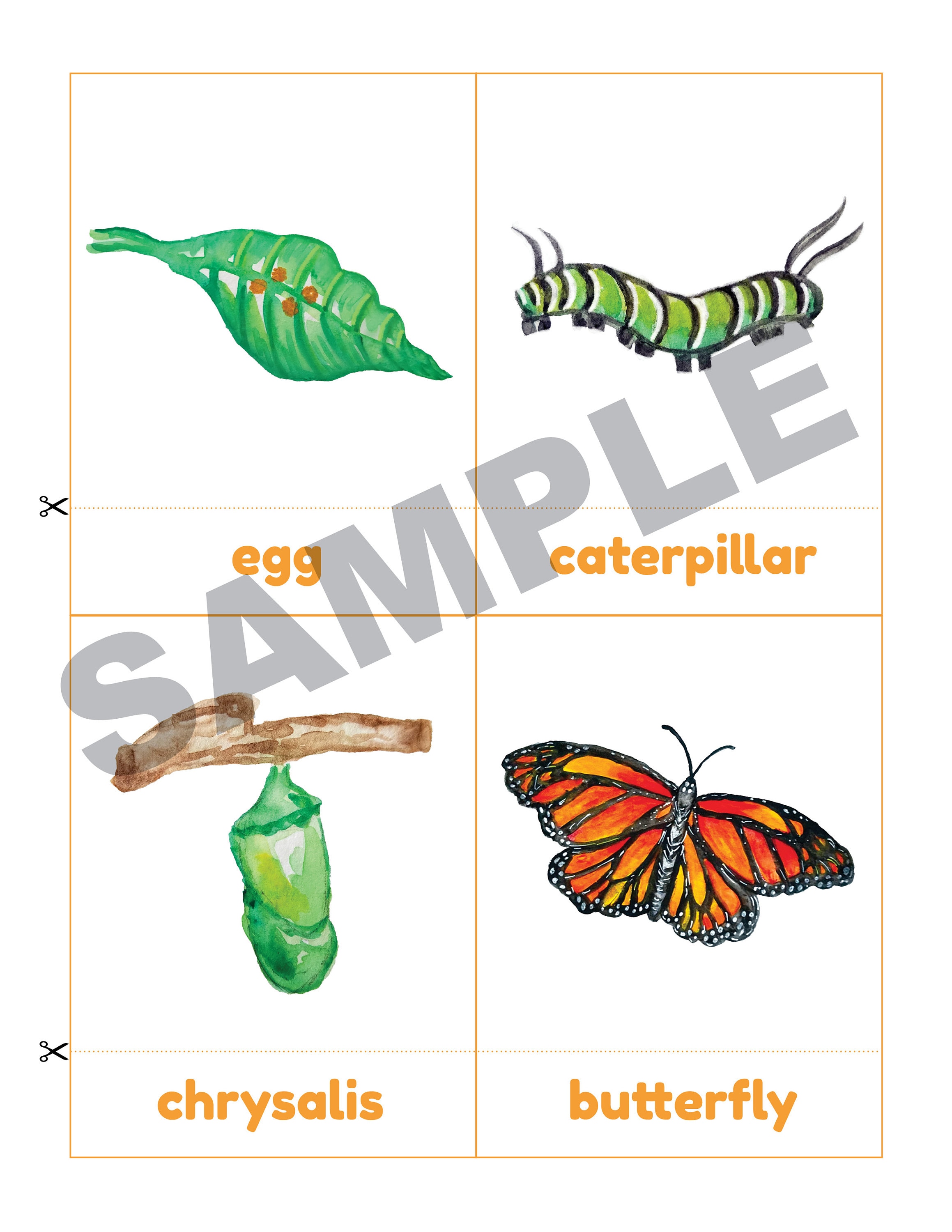 Monarch Butterfly Life Cycle - Montessori Science - Printable Instant ...
