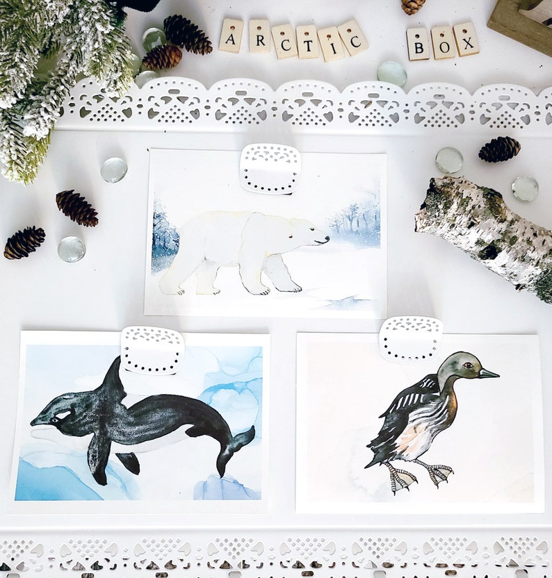 Arctic Animal Poster Printable - Instant Download - Montessori ...