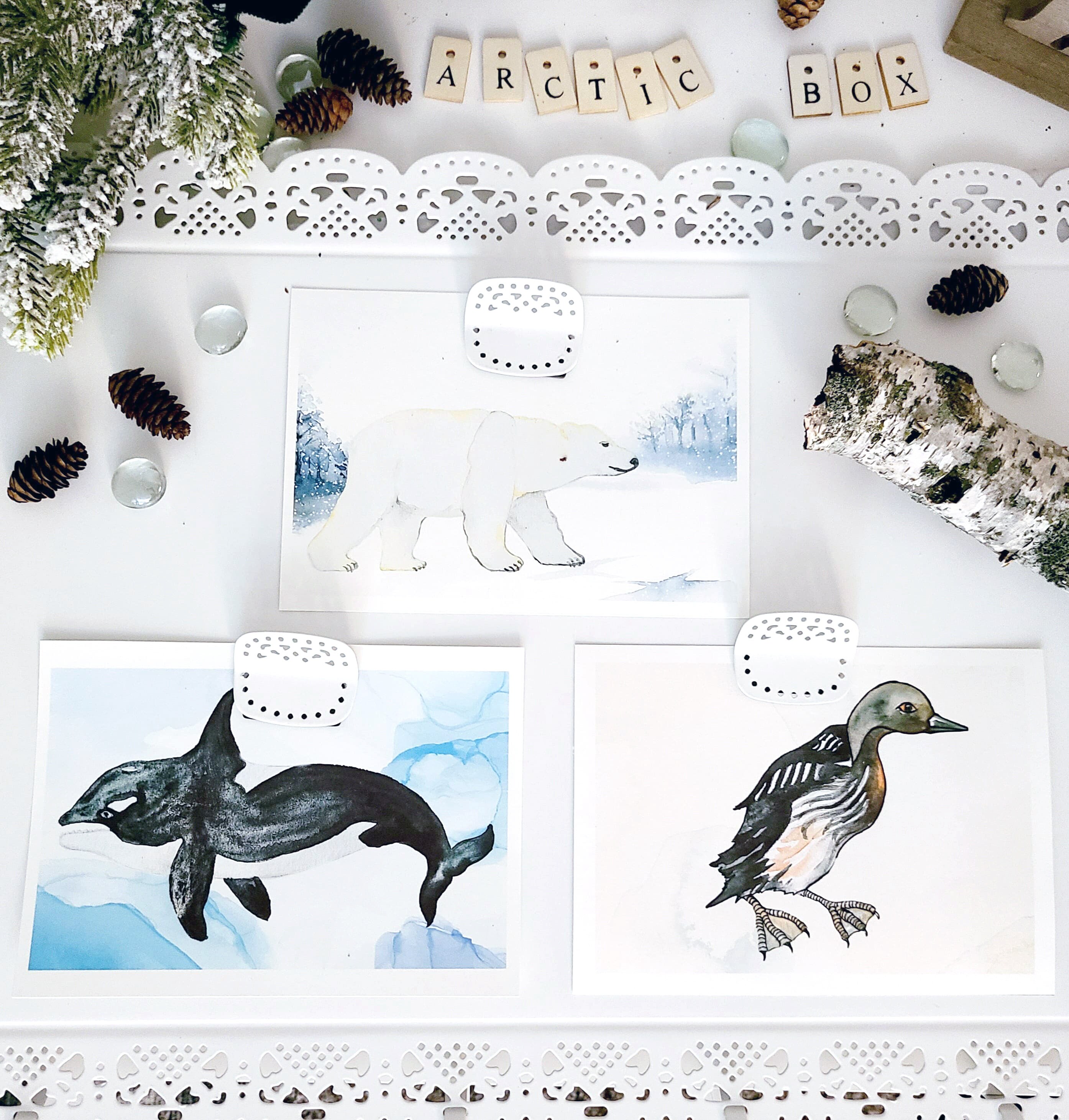 Arctic Animal Poster Printable - Instant Download - Montessori ...