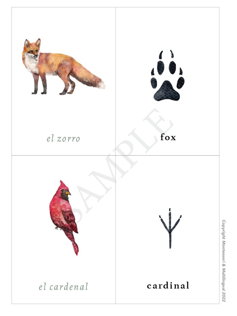 Forensic Science Detective Pack | Bilingual SPANISH | Matching ...