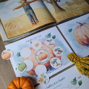 Vintage Halloween | Pumpkin Life Cycle | Pumpkin Anatomy | Busy Book ...