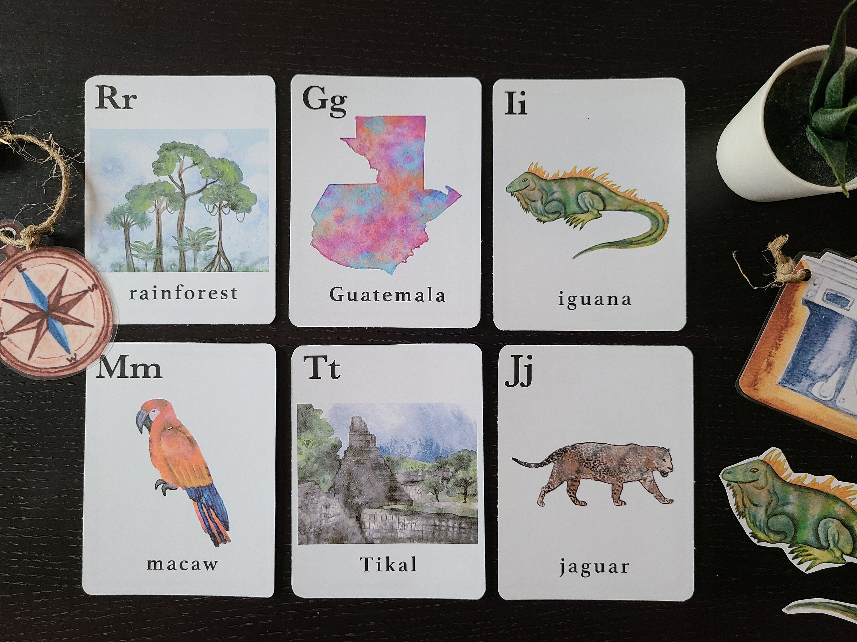 Rainforest Animal Printable Montessori Kindergarten - Etsy