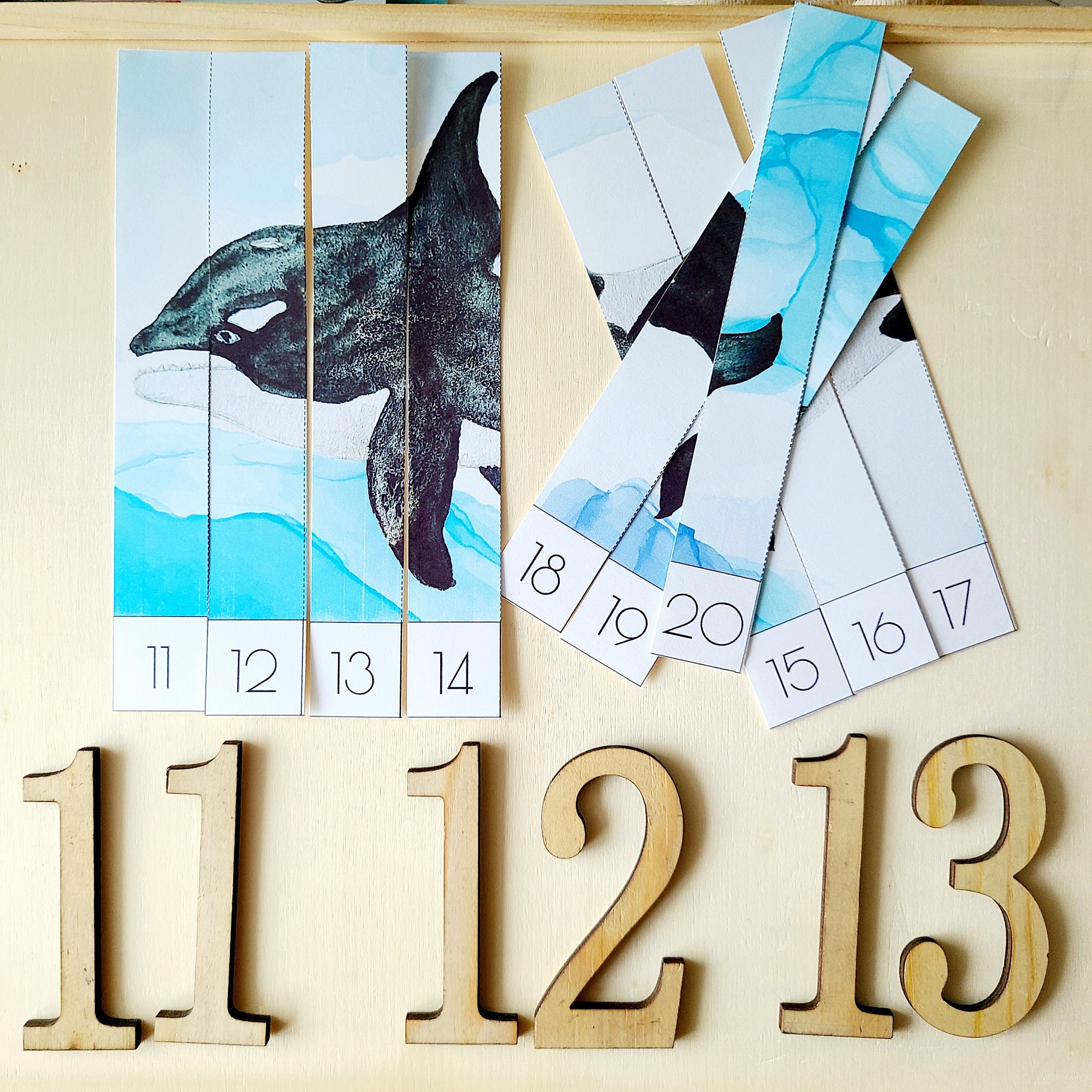 Arctic Animal Printable - Montessori Printable - Science Anatomy ...