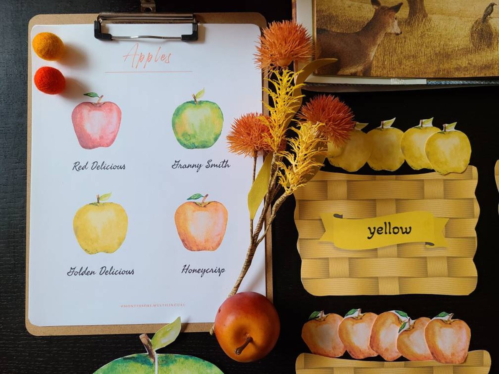 Apple Color Sorting Printable: Montessori Toddler Puzzles (PDF Download ...
