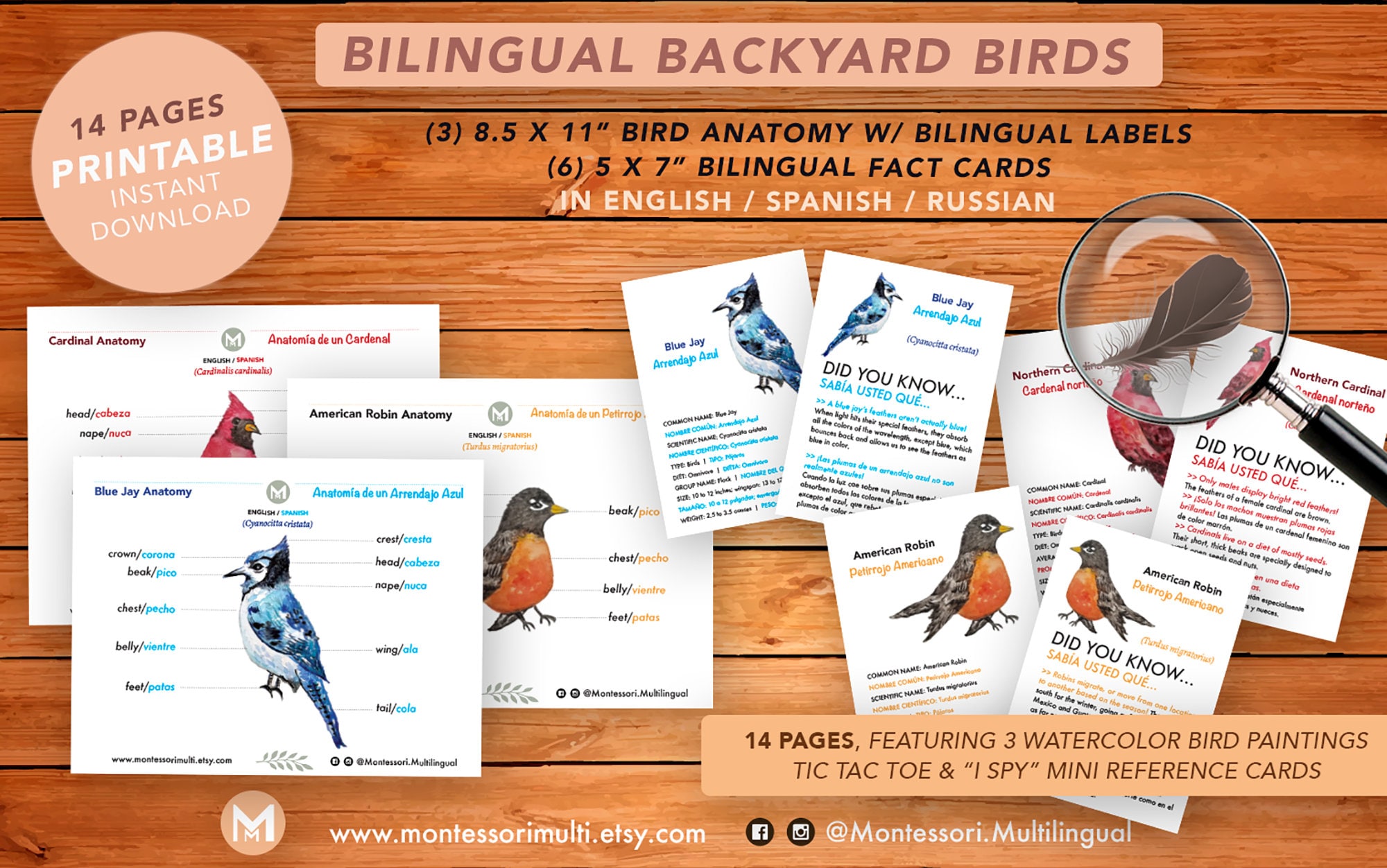 Bilingual Backyard Birds of North America - RUSSIAN Homeschool ...