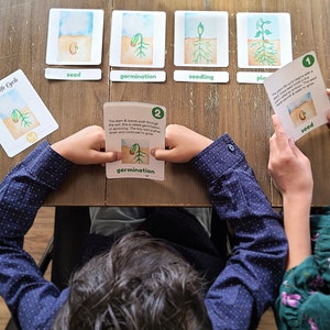 Bilingual Plant Life Cycle - Montessori SPANISH Botany Science ...