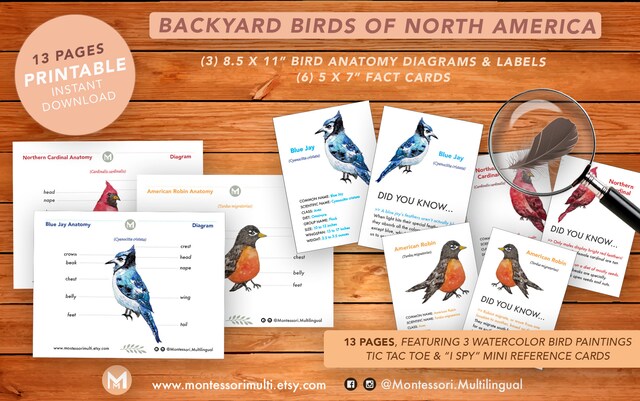 MontessoriMulti - Etsy