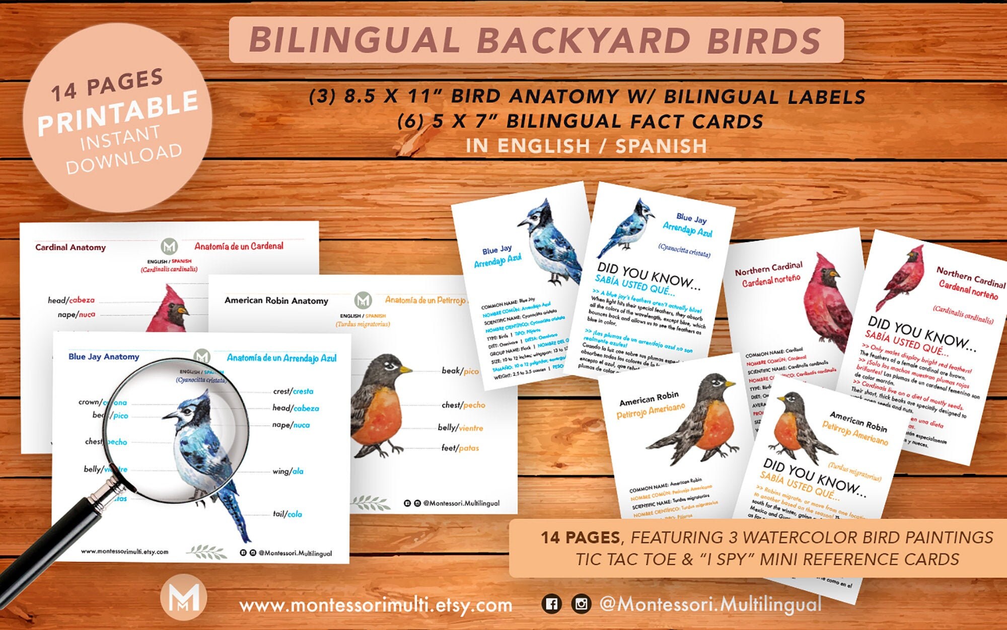 Bilingual SPANISH Backyard Birds of North America - Homeschool ...