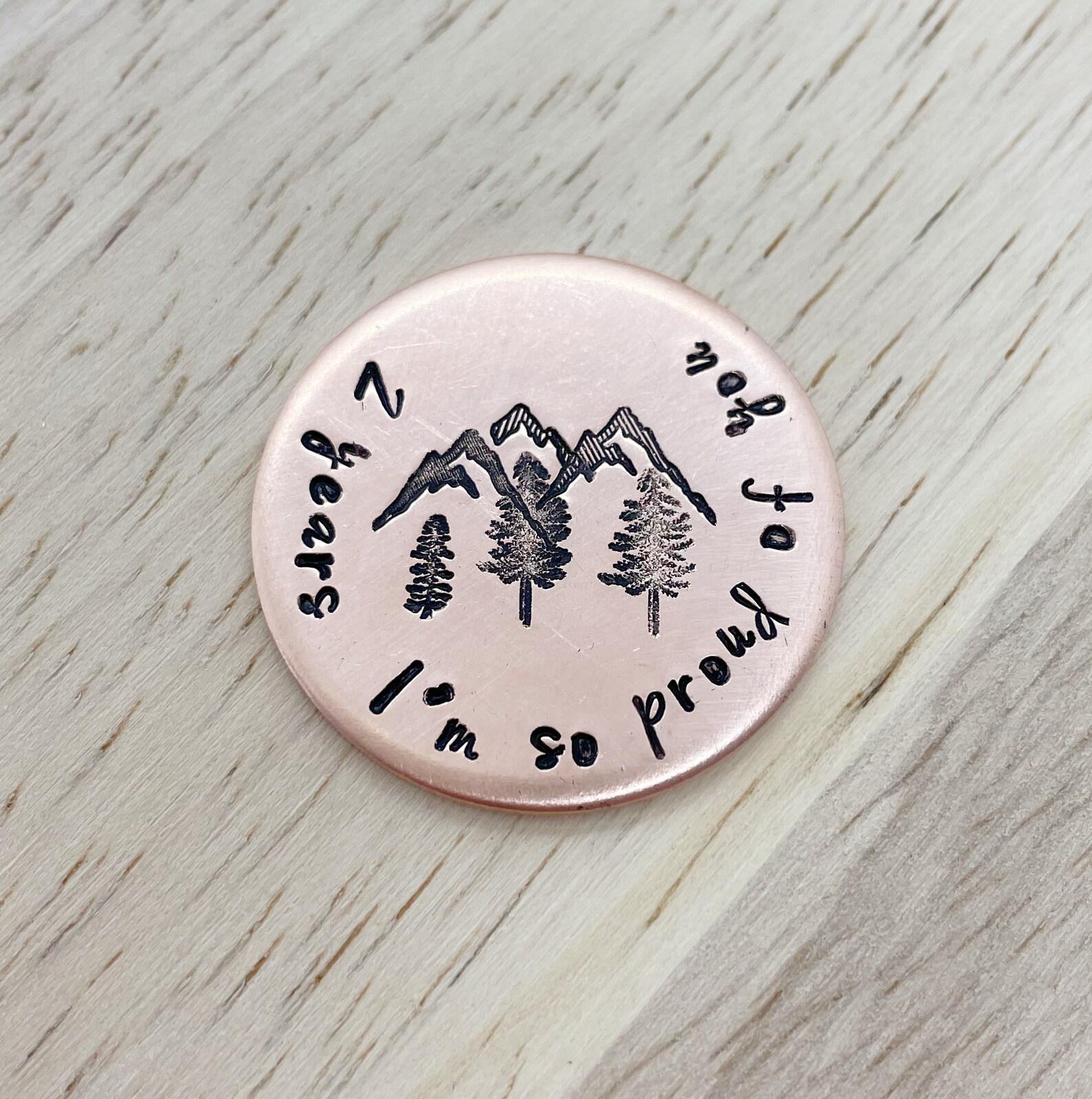 Sobriety Gift Sobriety Chips Recovery Token Sobriety - Etsy