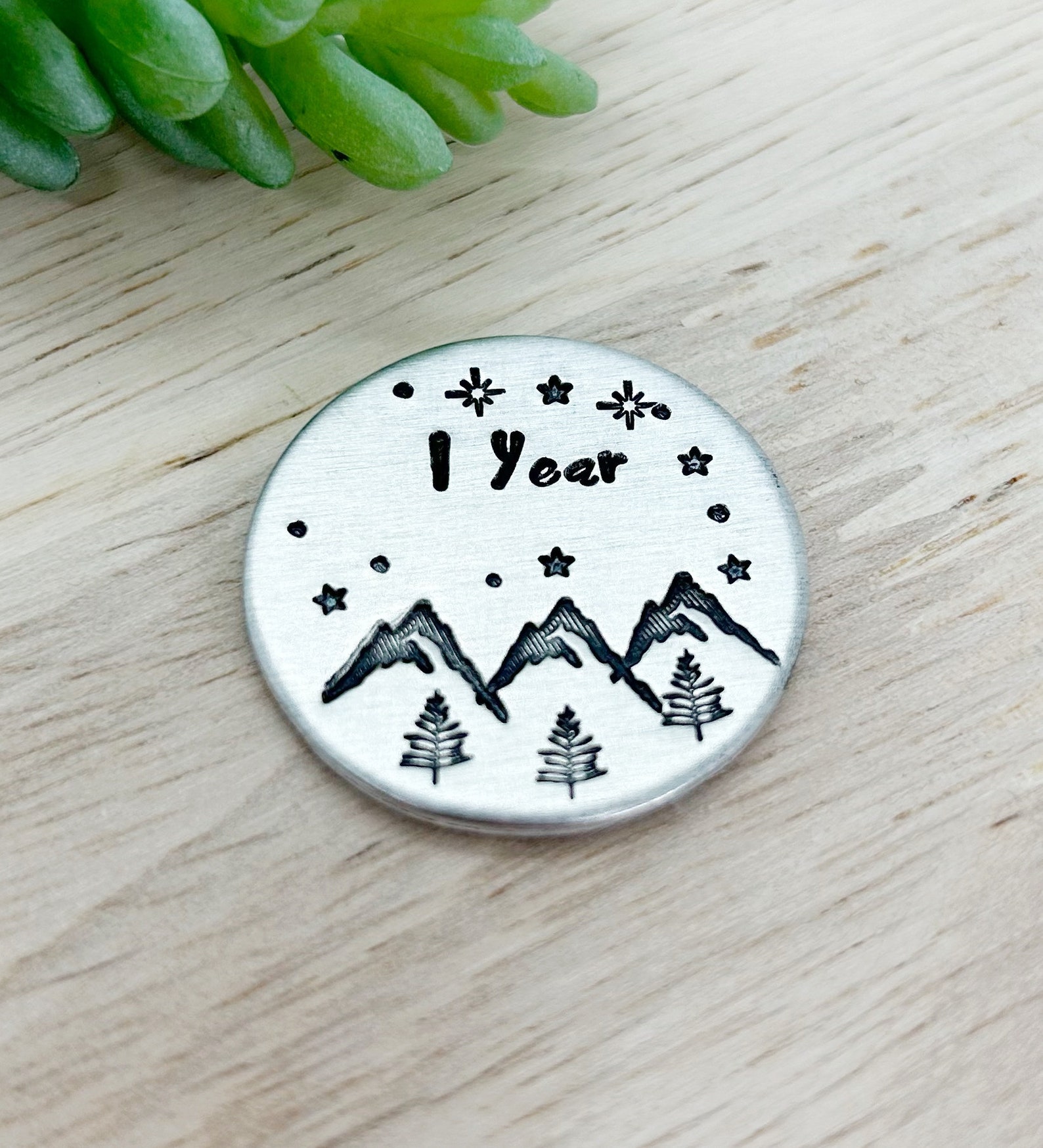 1 Year Sobriety Sobriety Chips Recovery Assobriety - Etsy