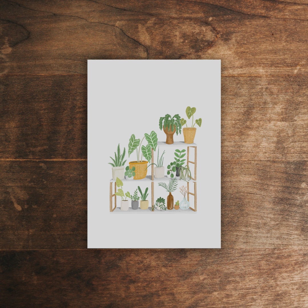 Postcard: Indoor Plants - Etsy