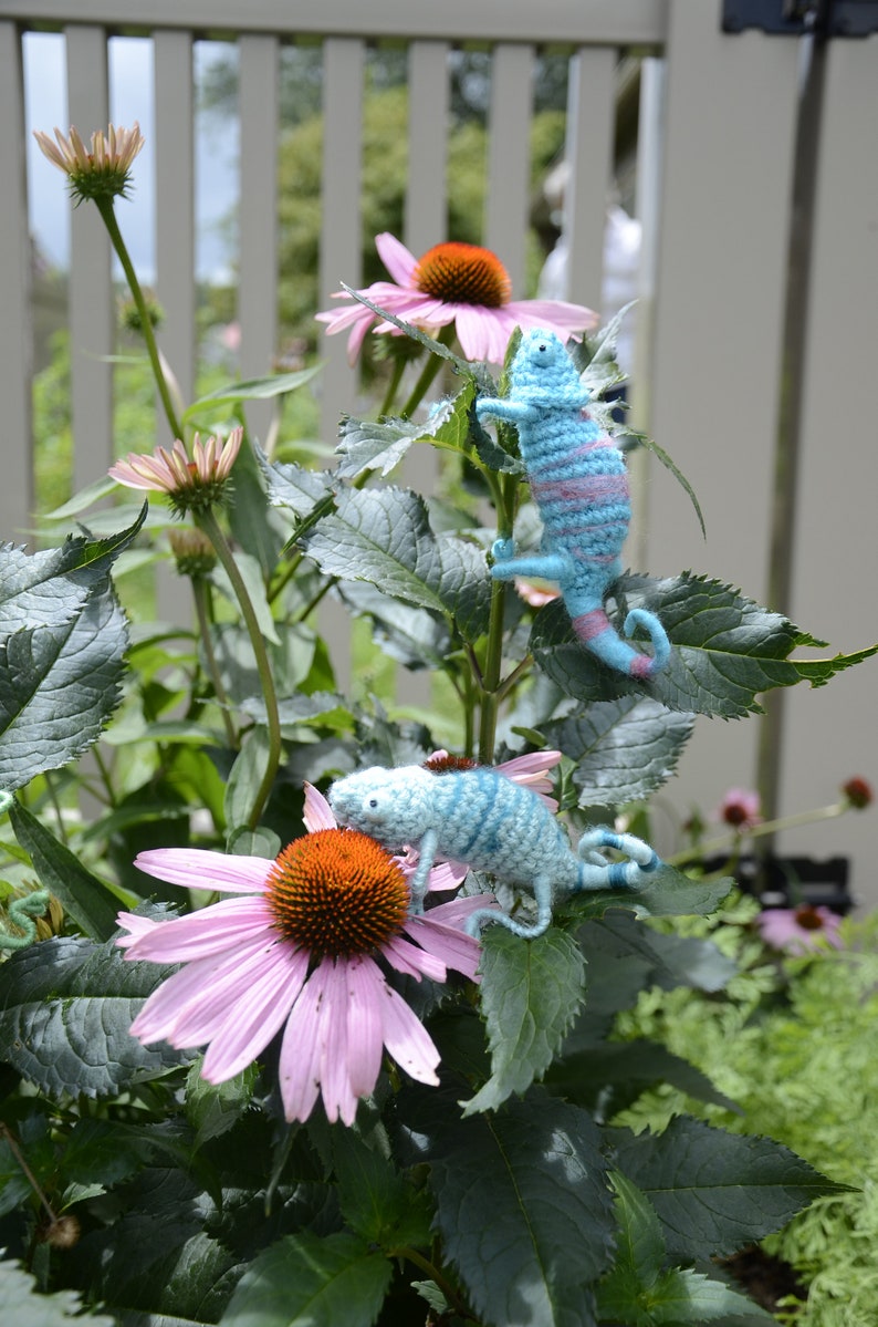 Chameleon Crochet Pattern | Etsy