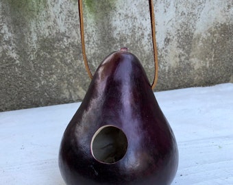 Gourd Birdhouse - Etsy