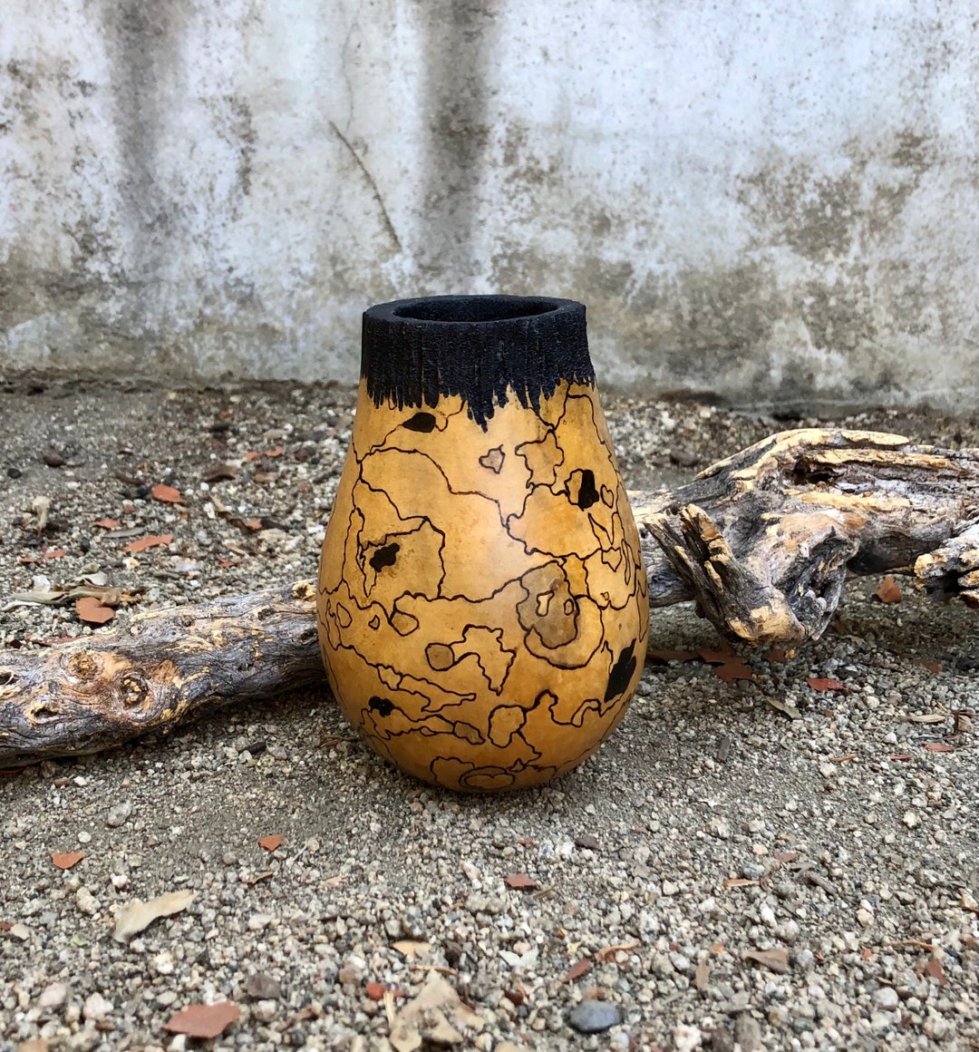Gourd Art / Gourd Vase / Pyrography Enhanced Gourd / Bottle Gourd - Etsy