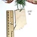 Indiana State Ornament Indiana State Shape Hoosier Ornament Back Home ...
