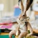 Hare Doll/spring Hare/needle Felted Hare/felted Hare/felted Jack Rabbit ...