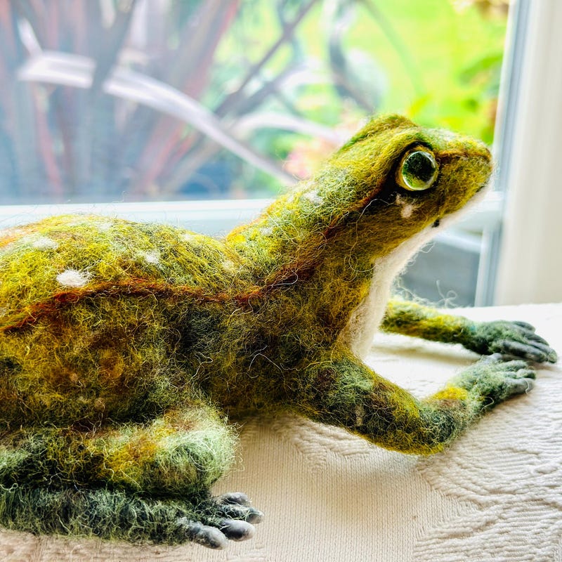 Needle Felted Frog - Etsy
