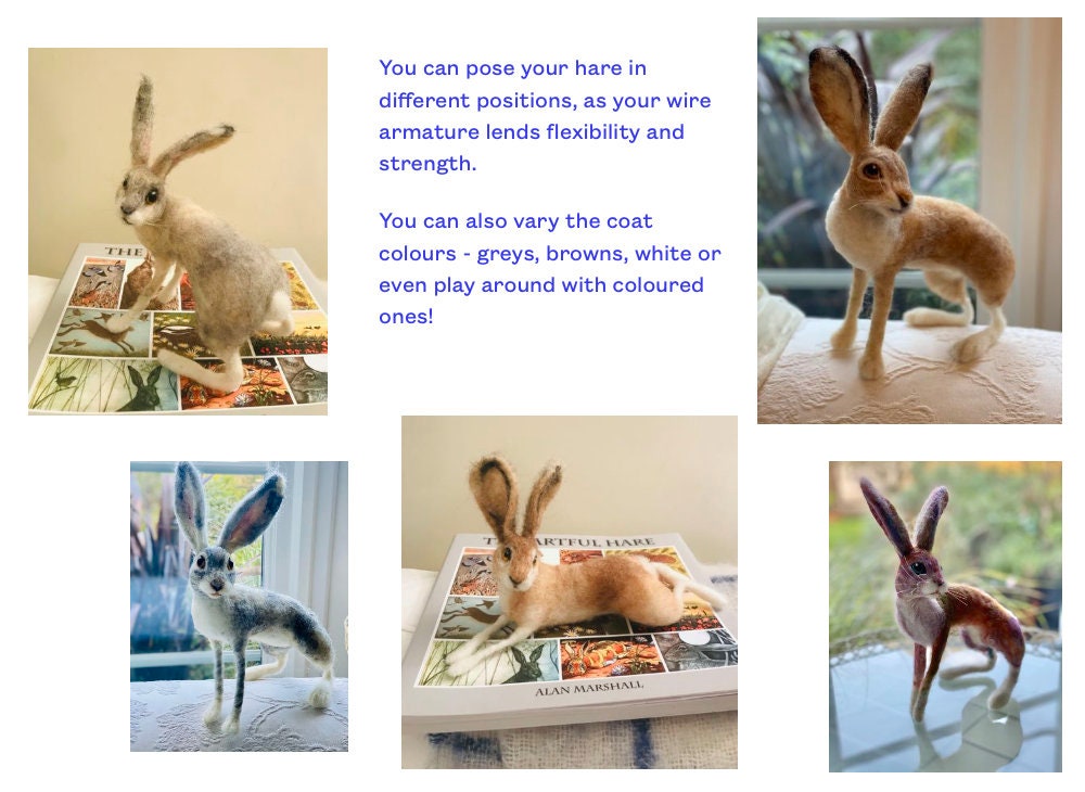 Hare Pattern/hare Felting Tutorial/intermediate/needle Felt - Etsy UK