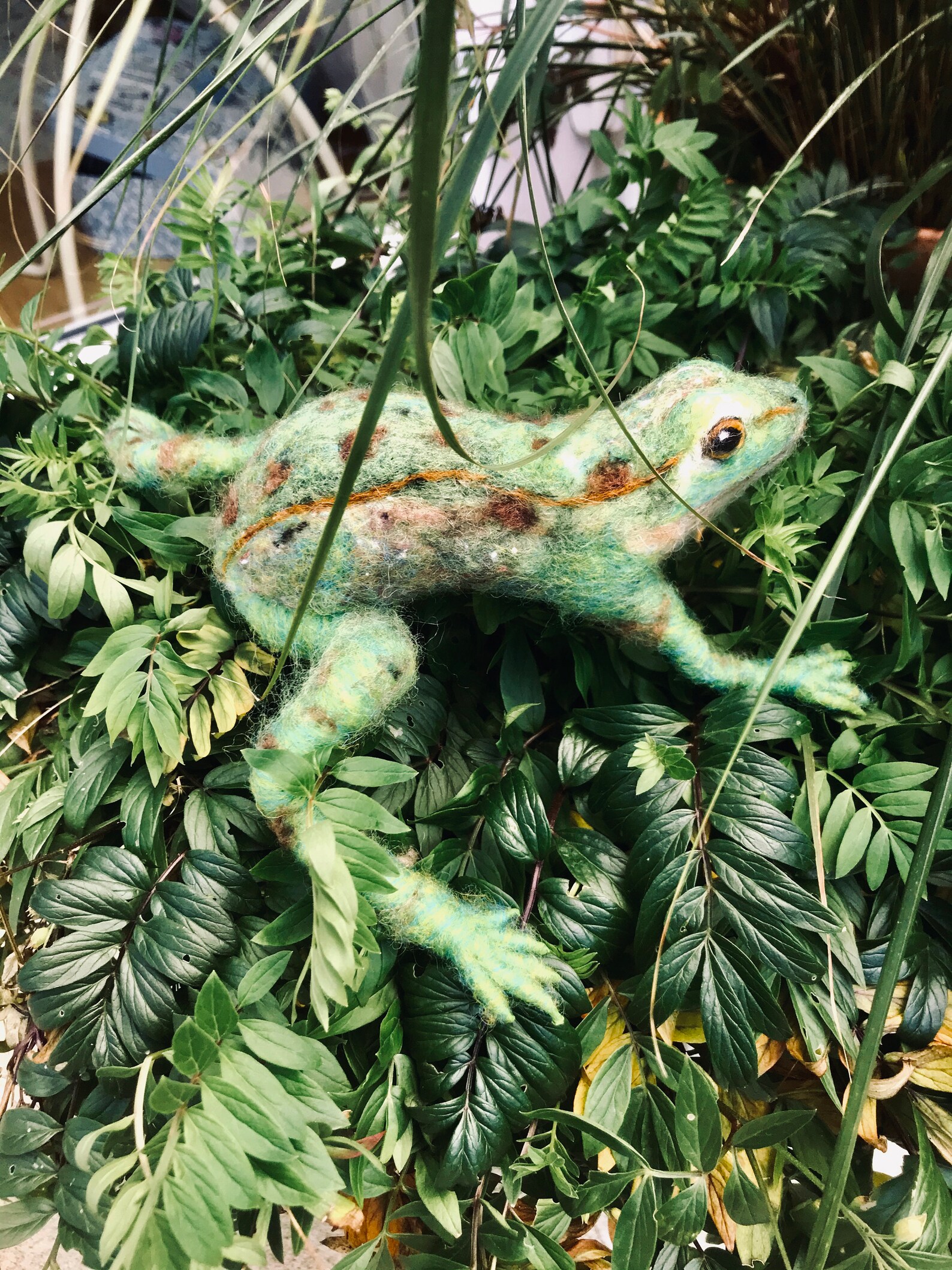 Frog/needle Felted Frog/felted Animals/frog Sculpture/frog Art/common ...
