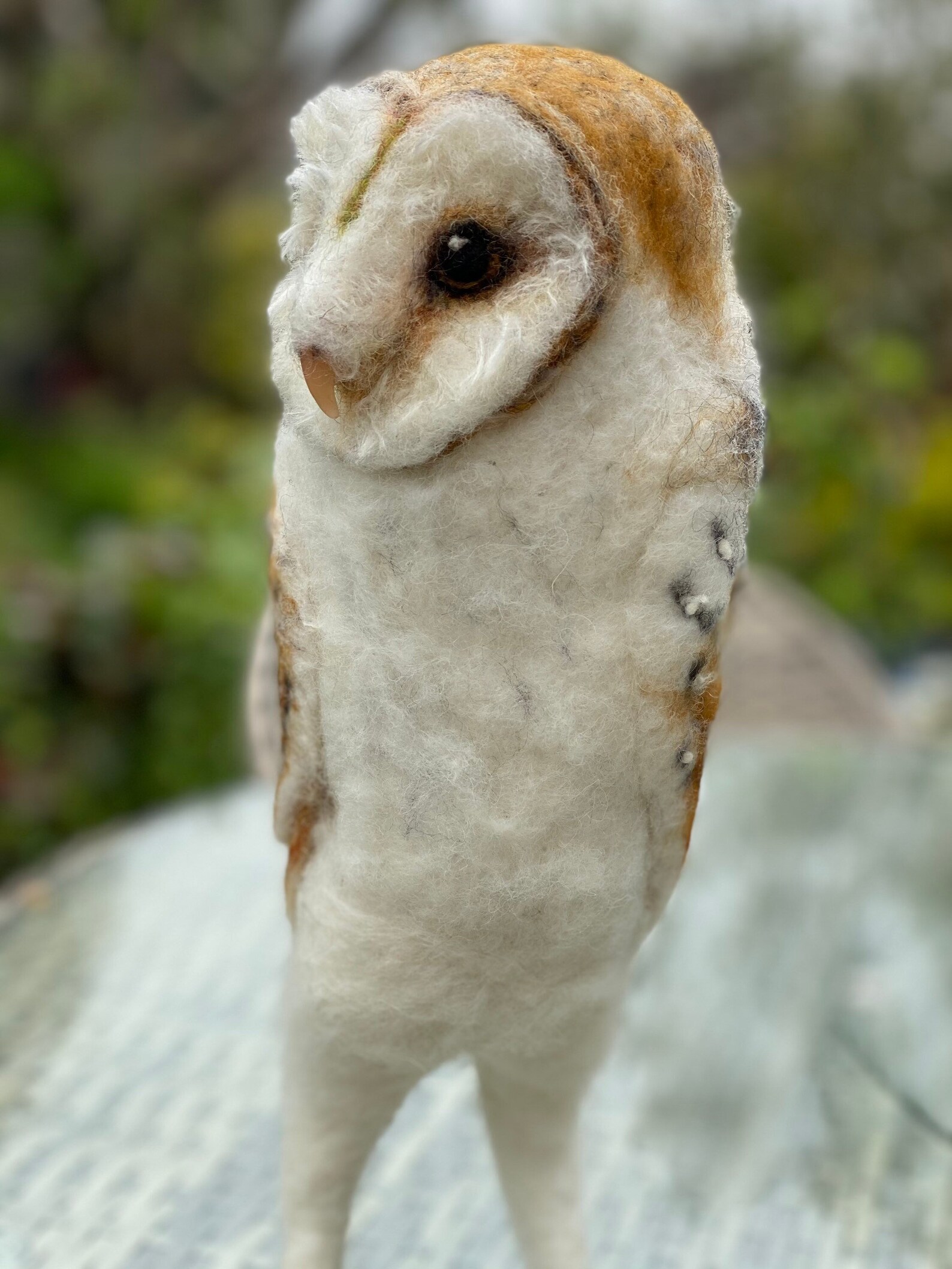 Life Size Barn Owl/needle Felted Barn Owl/life Size Owl/felt | Etsy