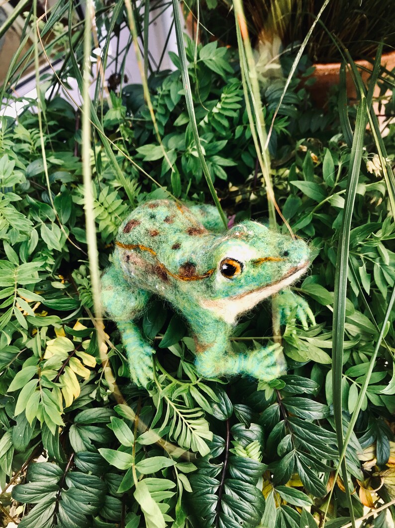 Frog/needle Felted Frog/felted Animals/frog Sculpture/frog Art/common ...