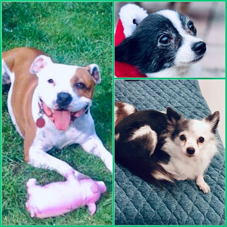 Pet Portrait/Crib Mobile/OOAK Baby Mobile/Dogs Crib | Etsy