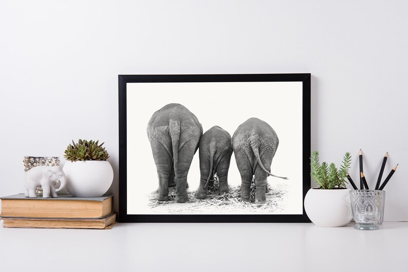 Printable Funny Elephants Butt Animal Black White Photography | Etsy