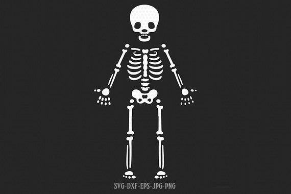 Skeleton SVG Halloween Skeleton Svg Halloween Svg Skeleton | Etsy
