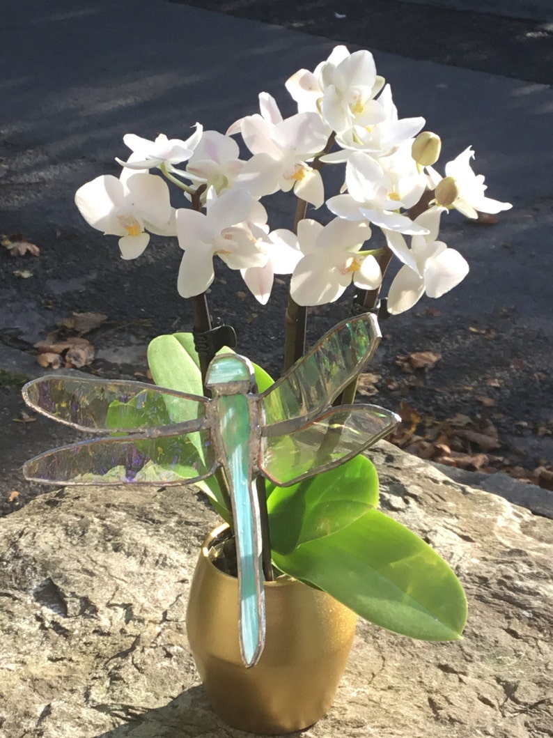 Stained Glass Irridescent Dragonfly Mounted on Steel Rod. - Etsy