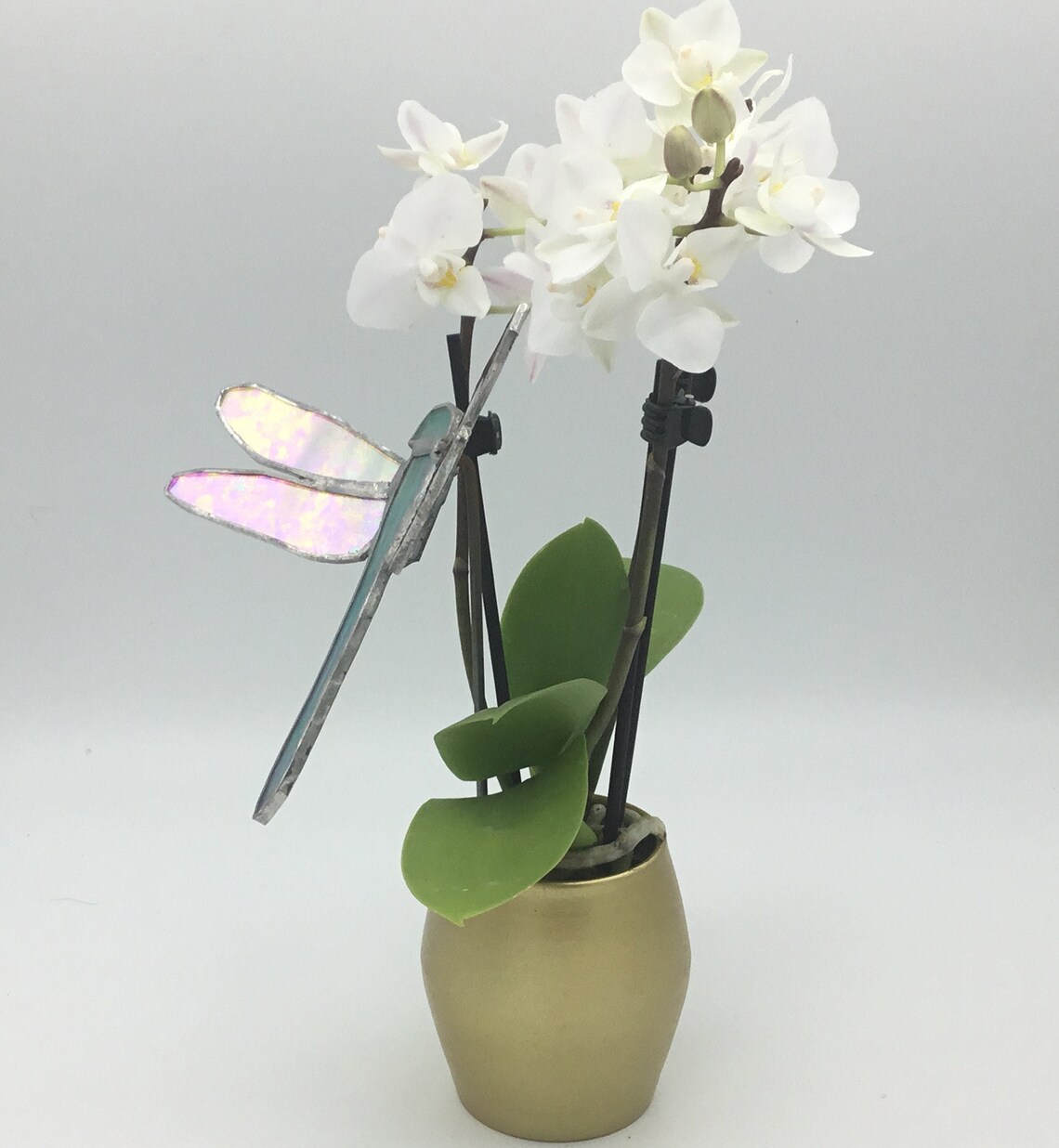 Stained Glass Irridescent Dragonfly Mounted on Steel Rod. - Etsy