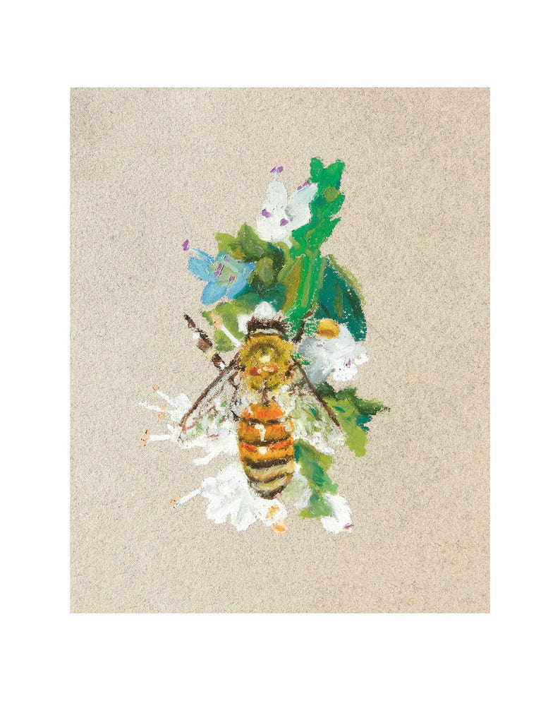 Little Bee Oil Pastel Painting Print on Aquarelle Paper - Etsy New Zealand