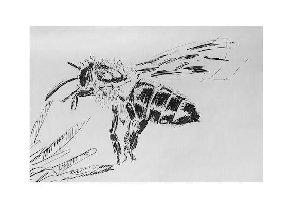 Simple Intaglio Printmaking