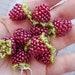 One Beaded Raspberry Charm Stitch Marker Progress Keeper - Etsy