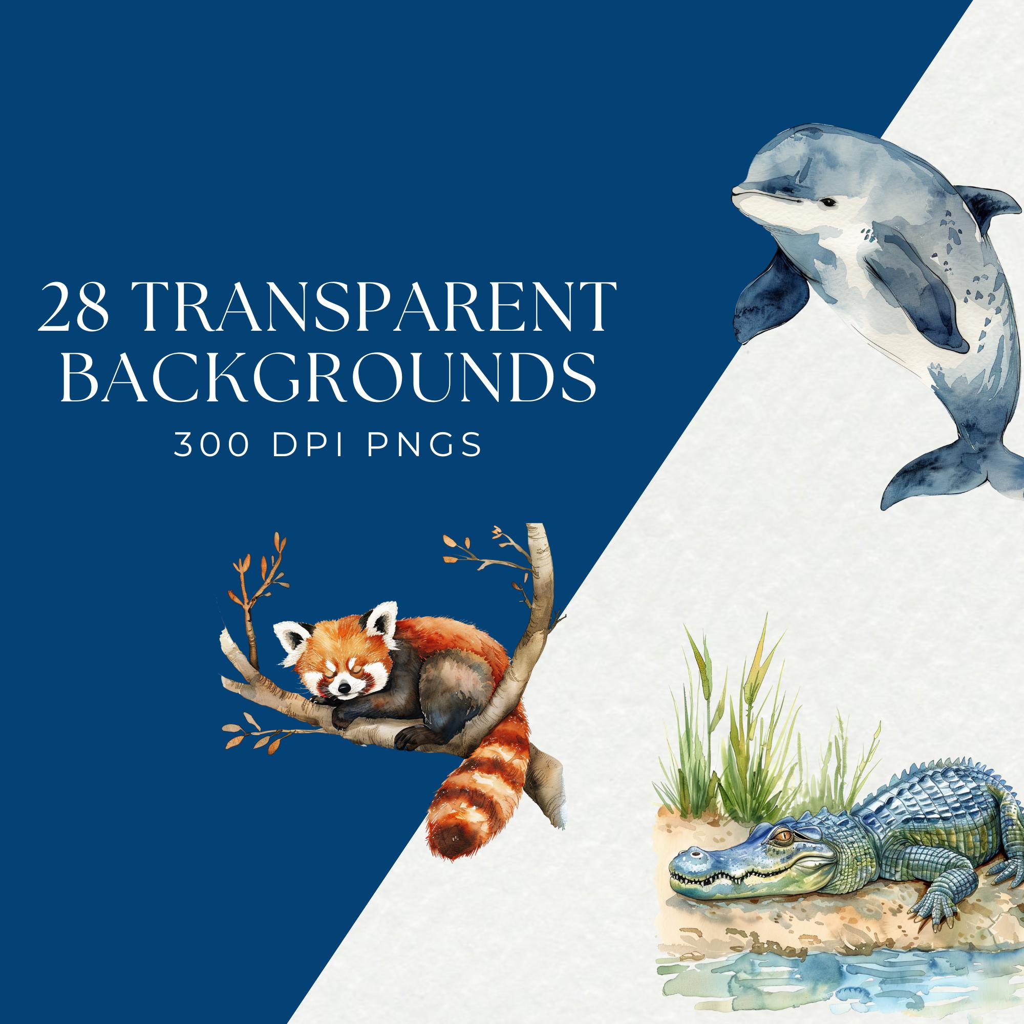 Endangered Species Clipart Collection, Clipart for Commercial Use ...