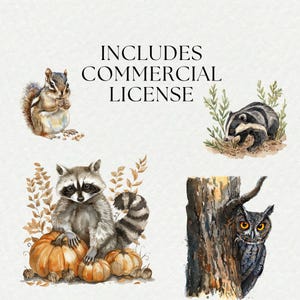 Fall Animals Clipart Bundle - Autumn Wildlife and Seasonal Scenes ...