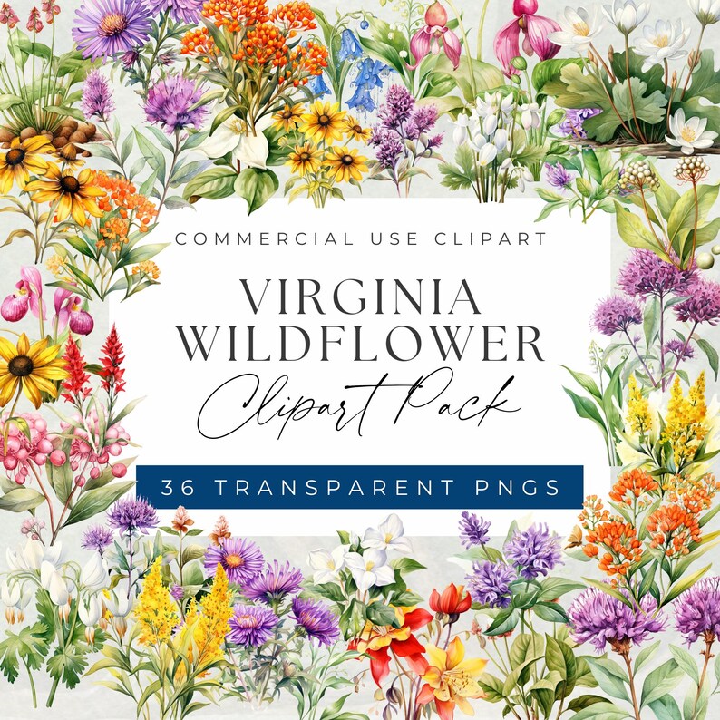 Virginia Wildflowers Watercolor Clipart Bundle – Native Blooms (PNG) - Etsy