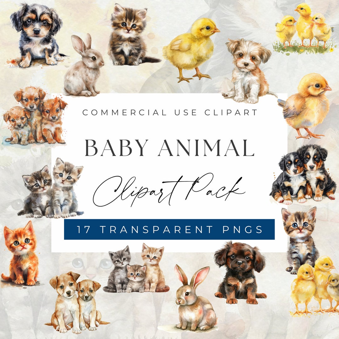 Baby Animal Clipart Watercolor, Clipart for Commercial Use, Transparent ...