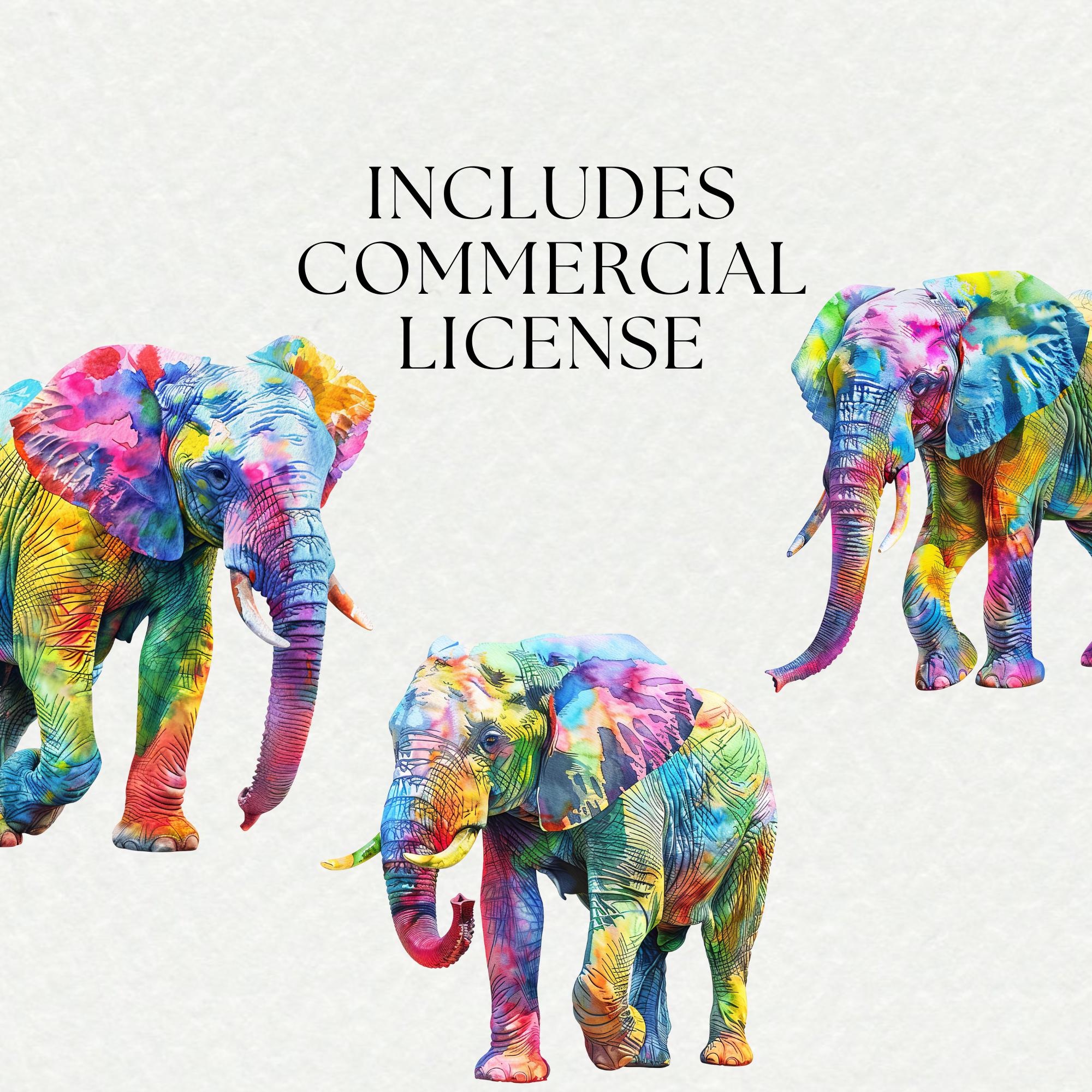 Vibrant Elephant Clipart Collection - Colorful and Artistic Elephant ...