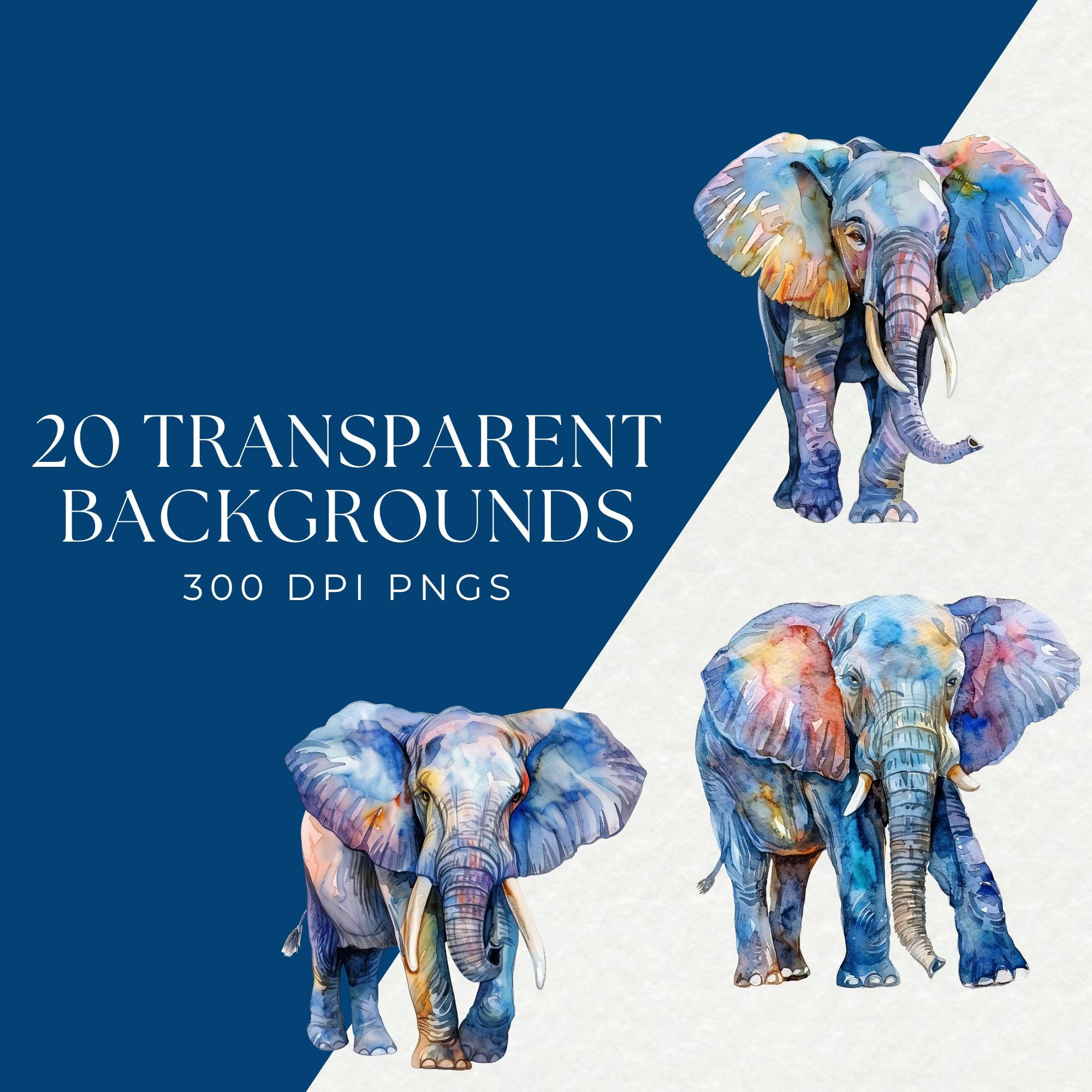 Vibrant Multi-color Elephant Clipart Bundle - Unique and Colorful ...