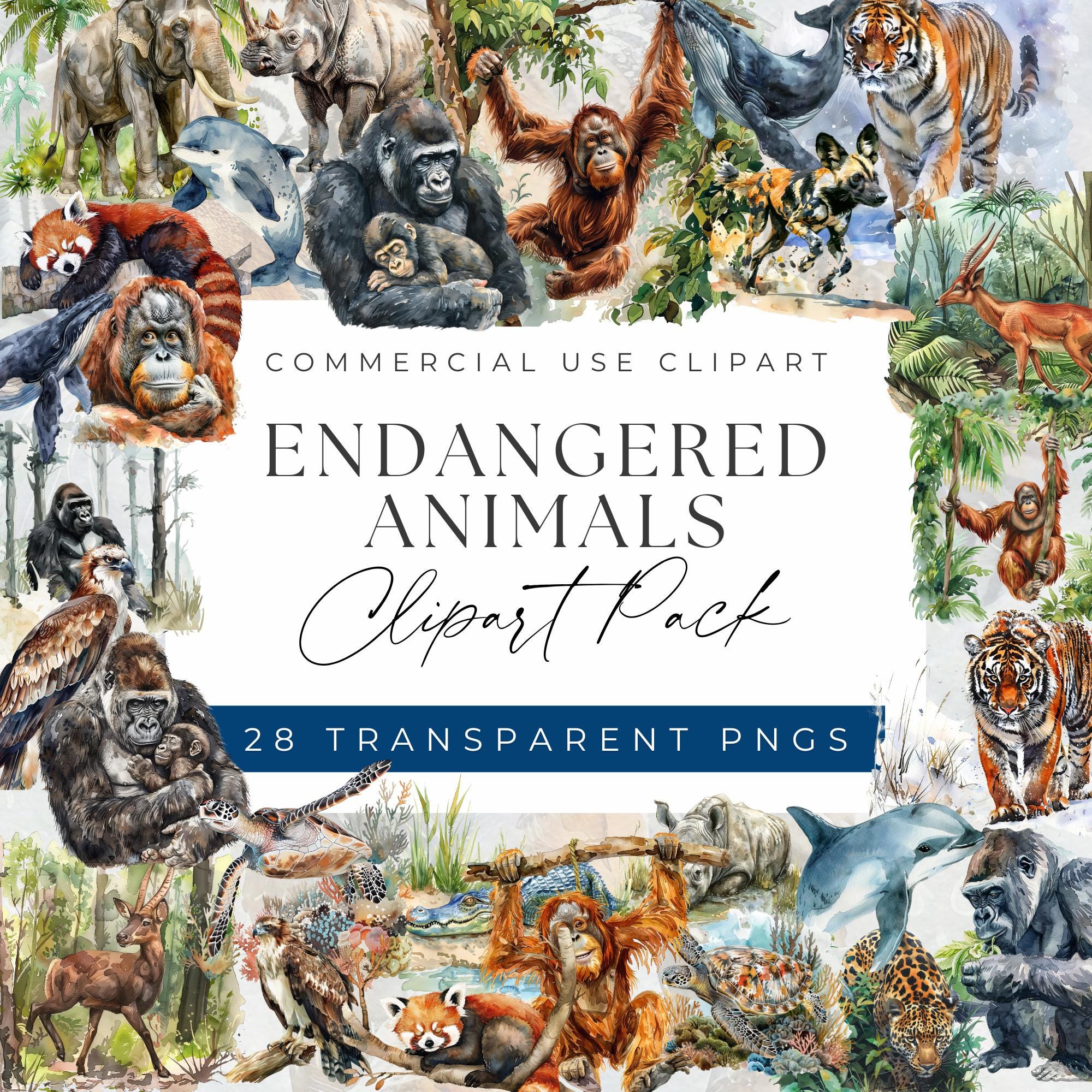 Endangered Species Clipart Collection, Clipart for Commercial Use, Transparent Pngs - Etsy