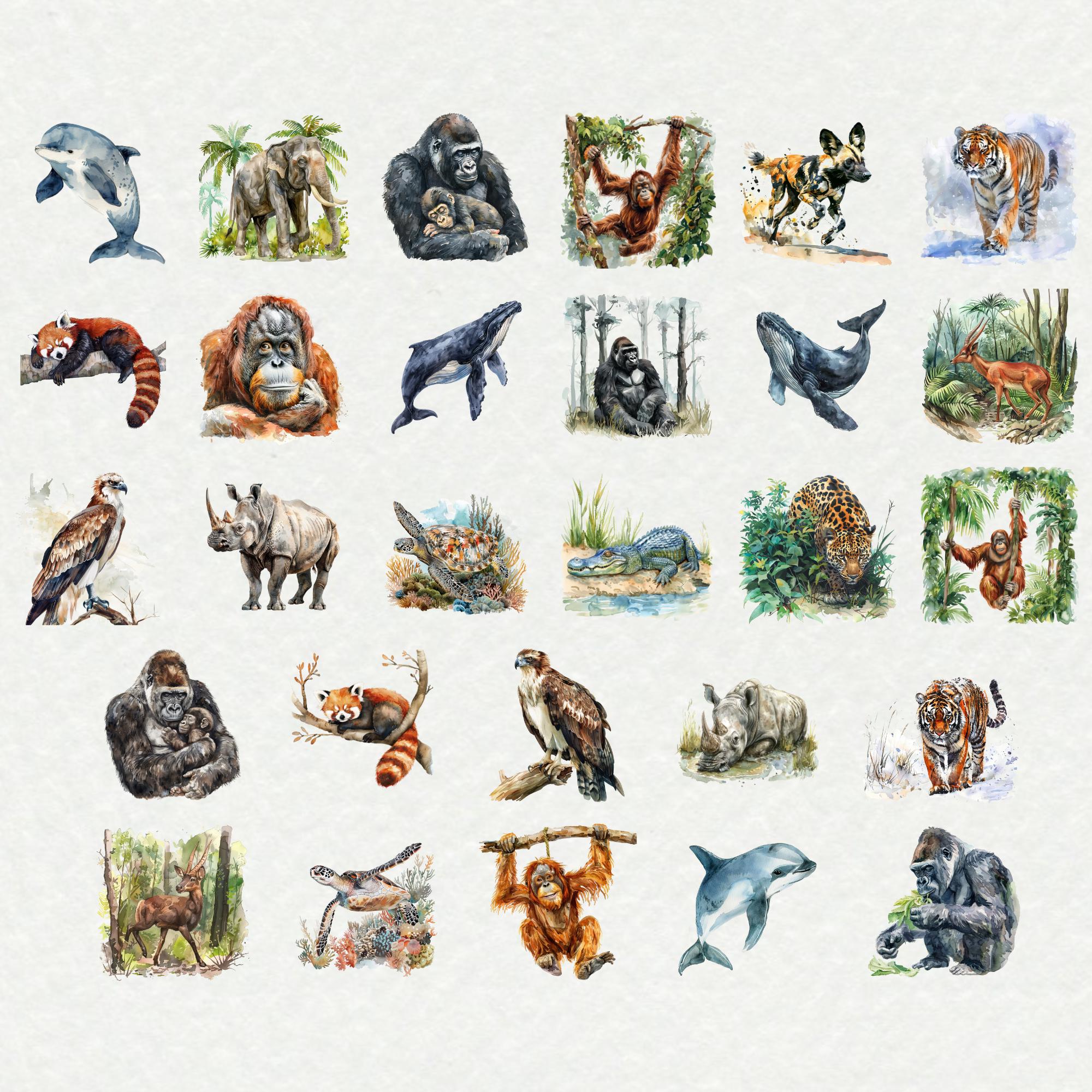 Endangered Species Clipart Collection, Clipart for Commercial Use ...