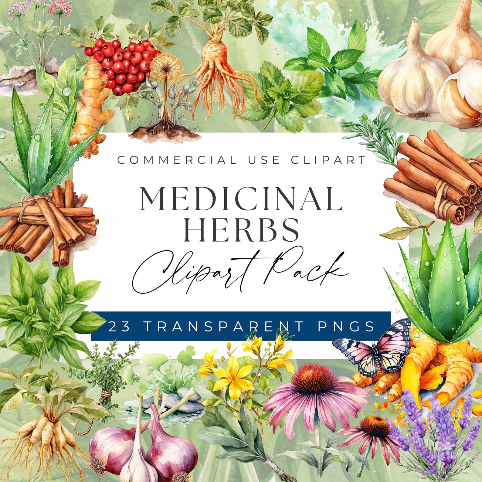 Medicinal Herbs Clipart Bundle - Healing Plants and Vibrant Botanicals ...