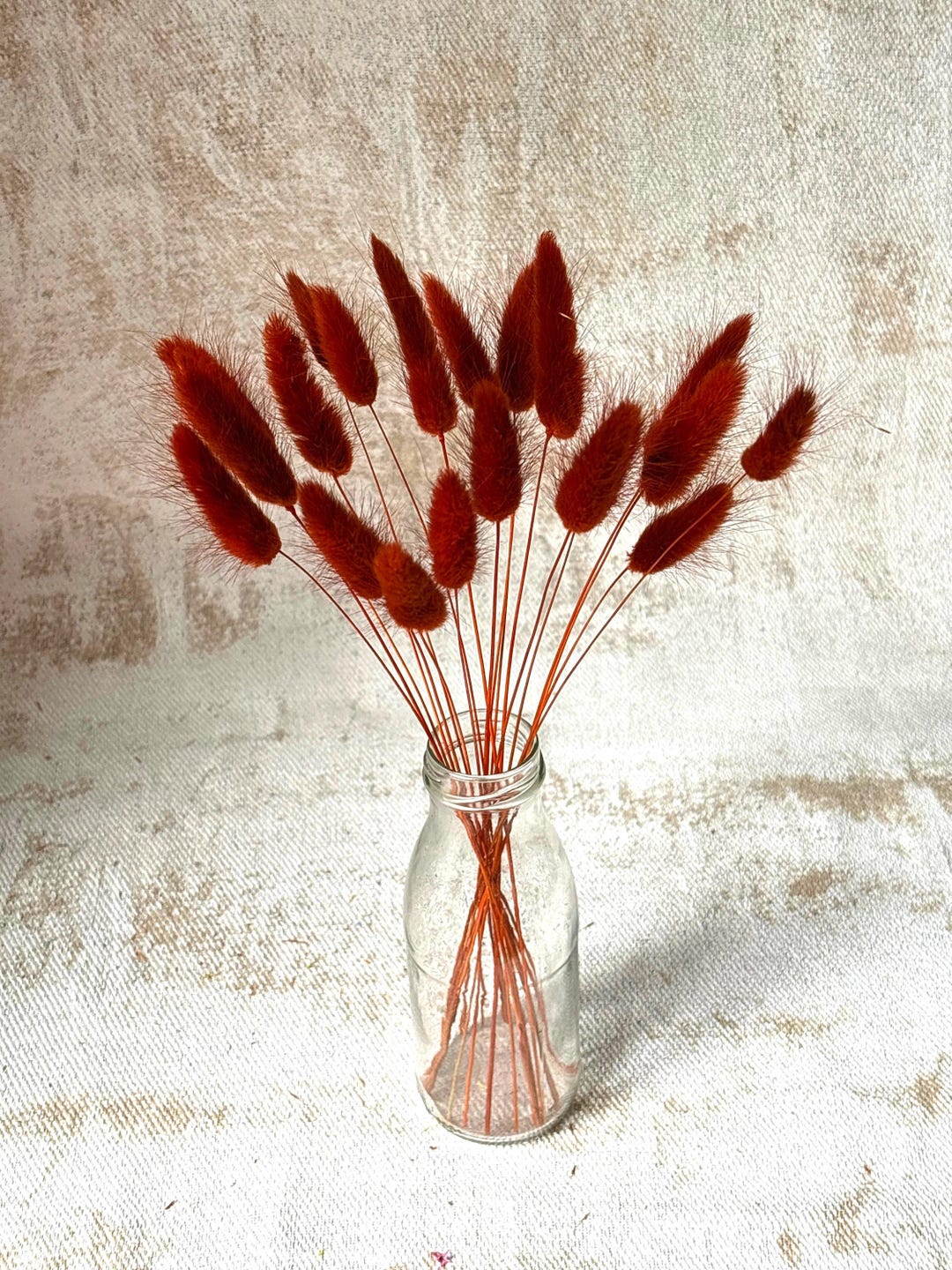 Rust, Terracotta Bunny Tails. Lagurus. Cake Decoration. Gift. Autumn ...