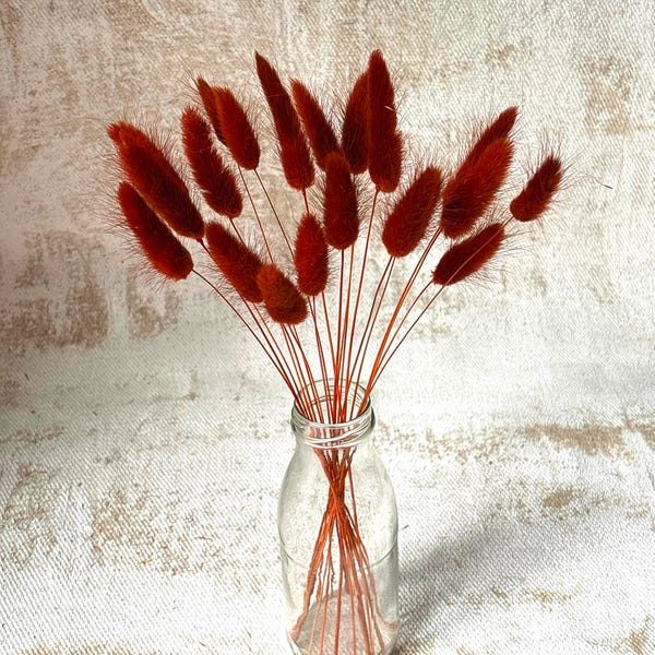 Orange Bunny Tails - Etsy UK