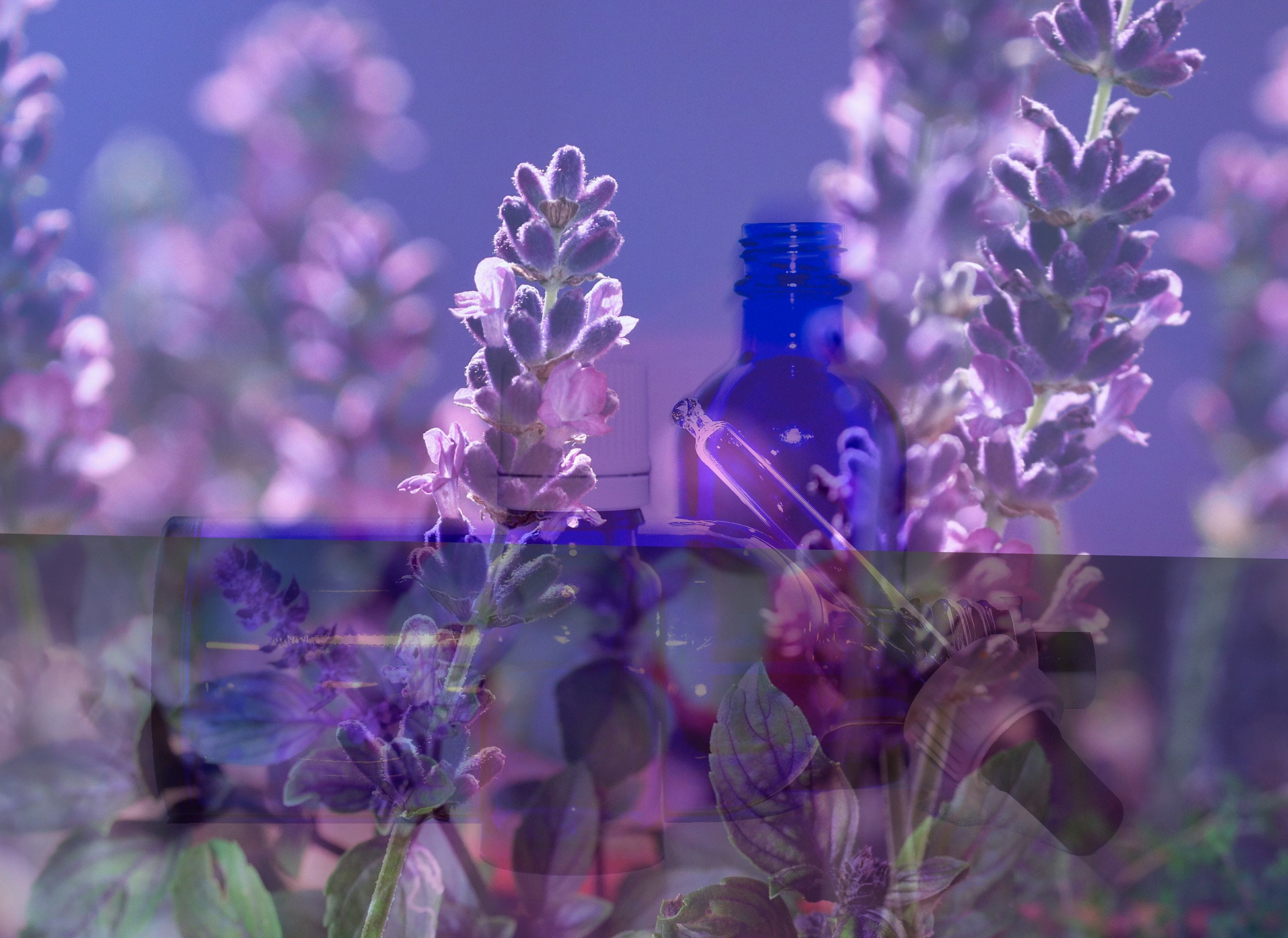 Archangel Michael Spiritual Protection Spray - Etsy