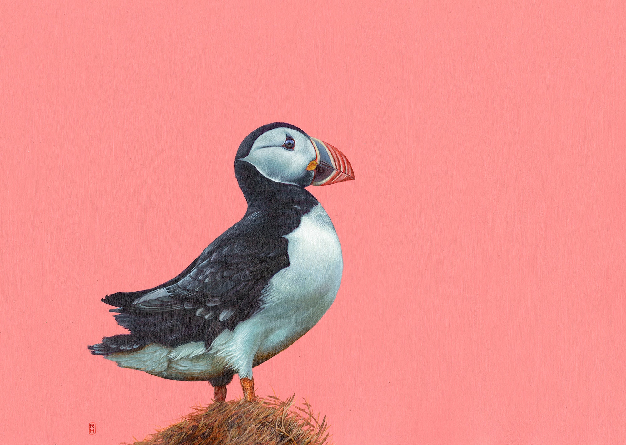 Print of My Puffin Painting, Original Size, Archival Quality Print - Etsy