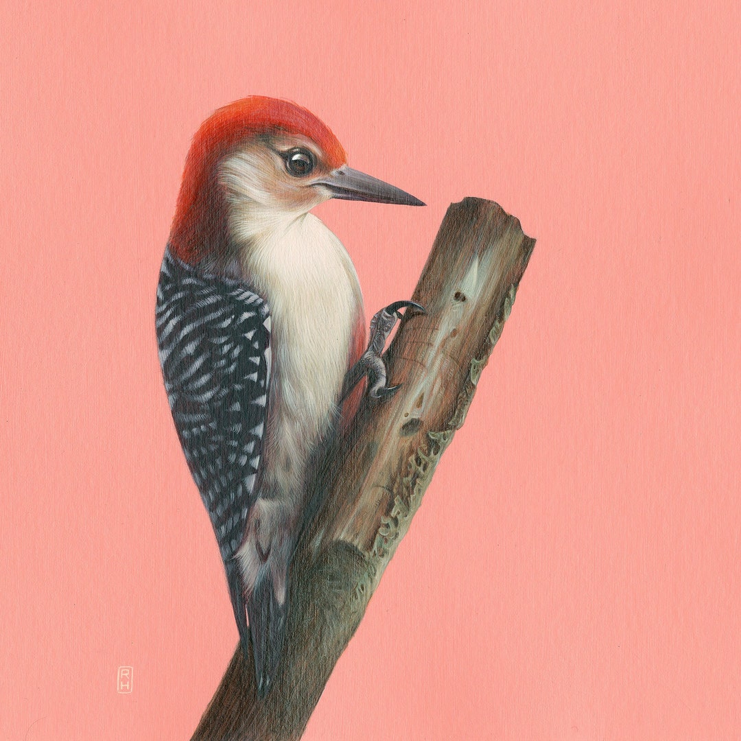 Creative UCSP Background Design for a Unique Project Presentation