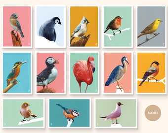 Bird Postcards | Etsy