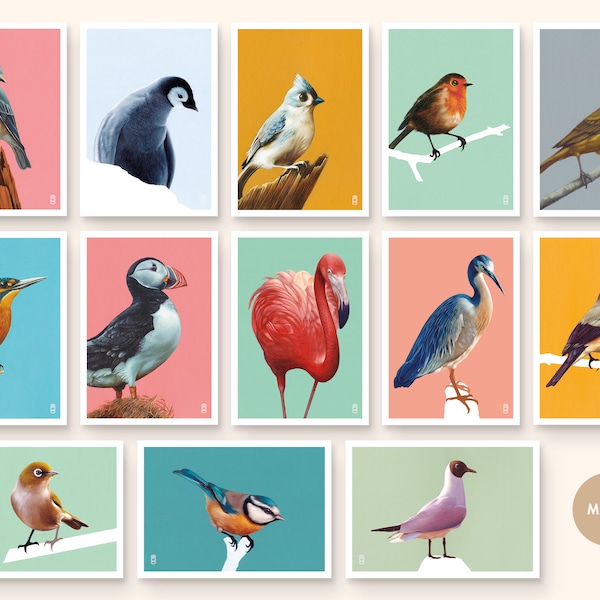 Bird Postcards - Etsy