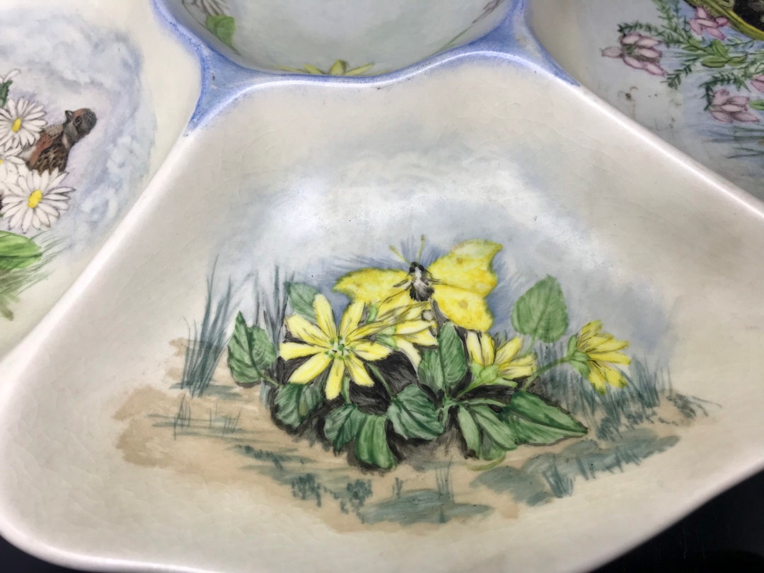 Spode Hors Doeuvres Dish Hand Painted Unique Large Art Deco - Etsy